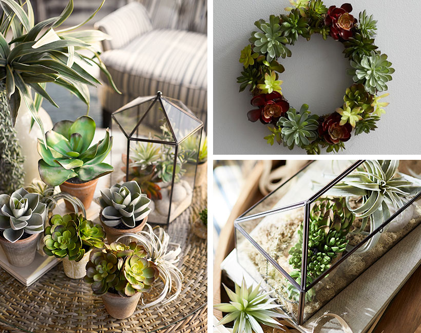 4 Ways To Freshen Up Your Space With Spring Succulents | Pottery Barn