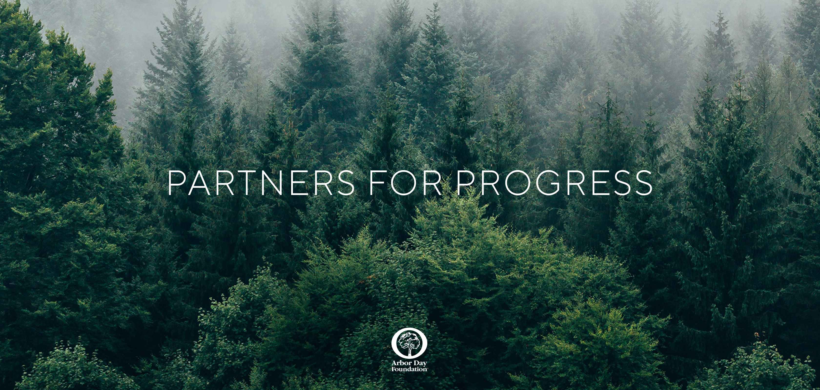 Partners for Progress | Pottery Barn