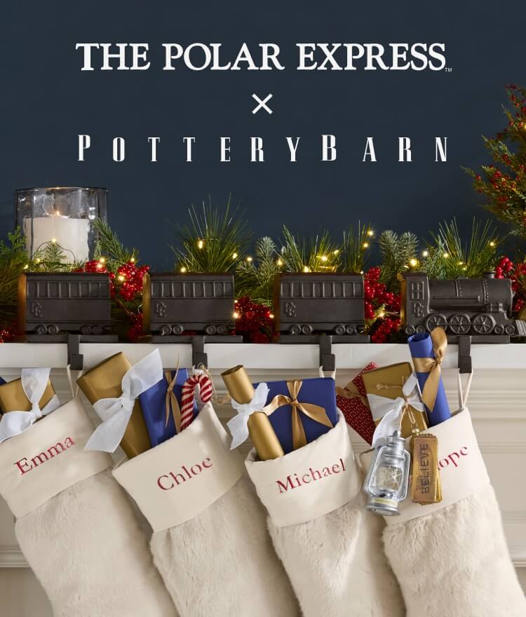 Polar Express Store