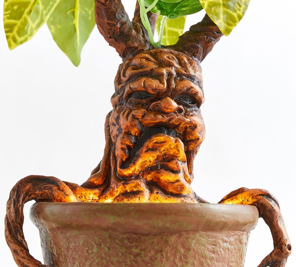 HARRY POTTER™ Lit Mandrake Root | Pottery Barn