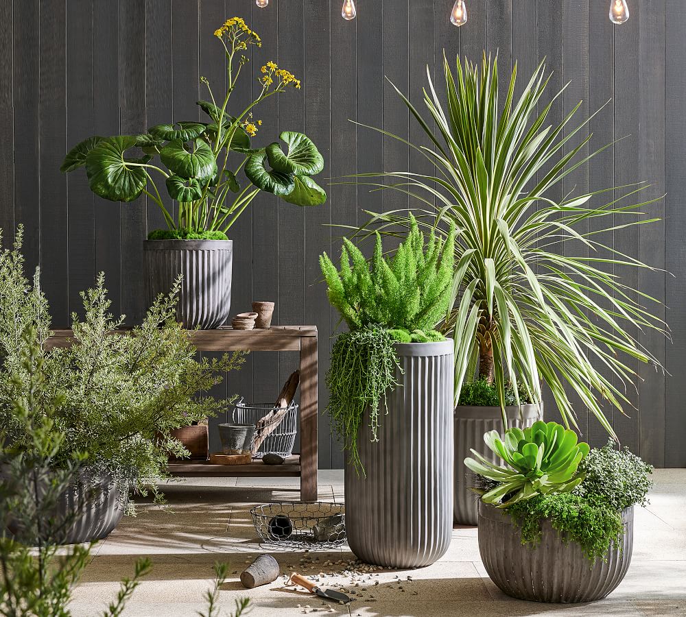 Concrete Fluted Planters | Pottery Barn