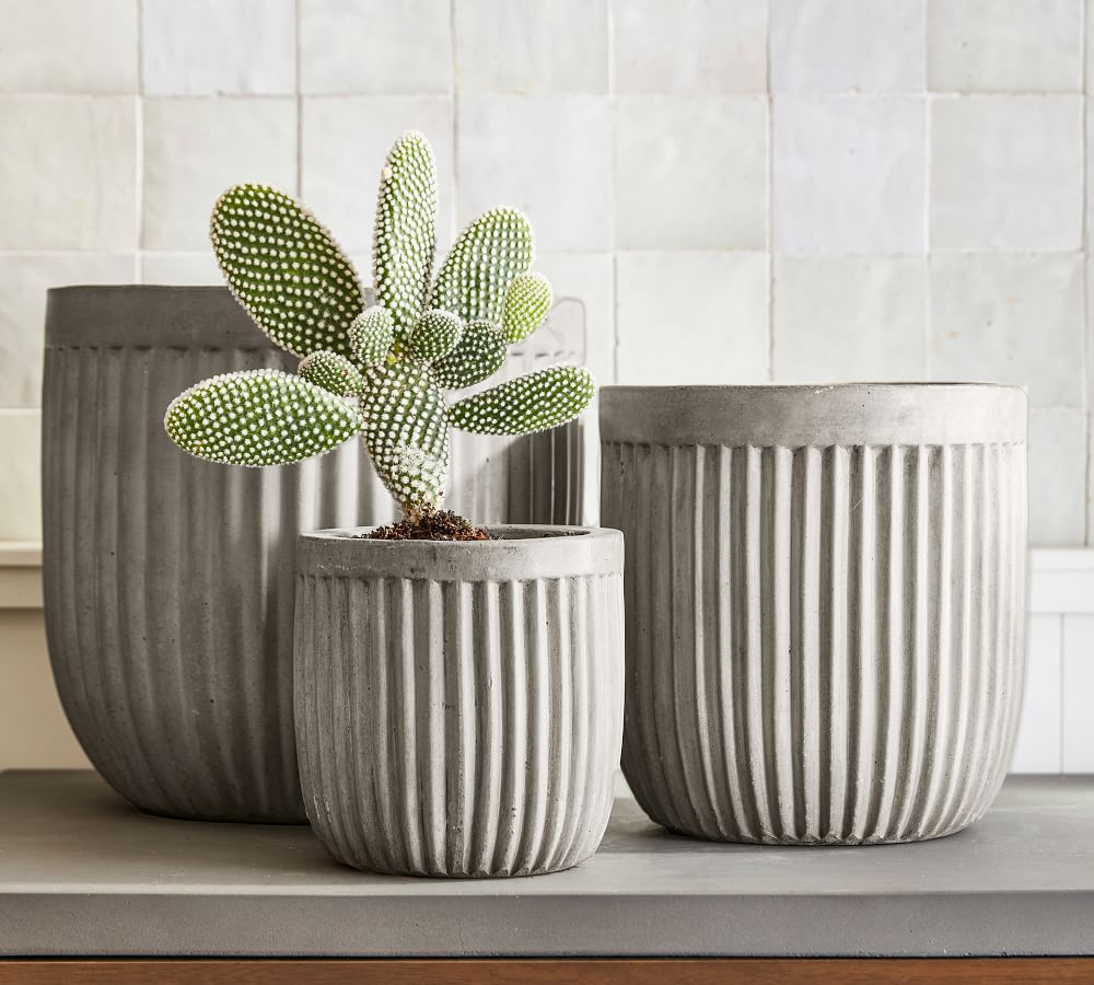 Concrete Fluted Planters | Pottery Barn