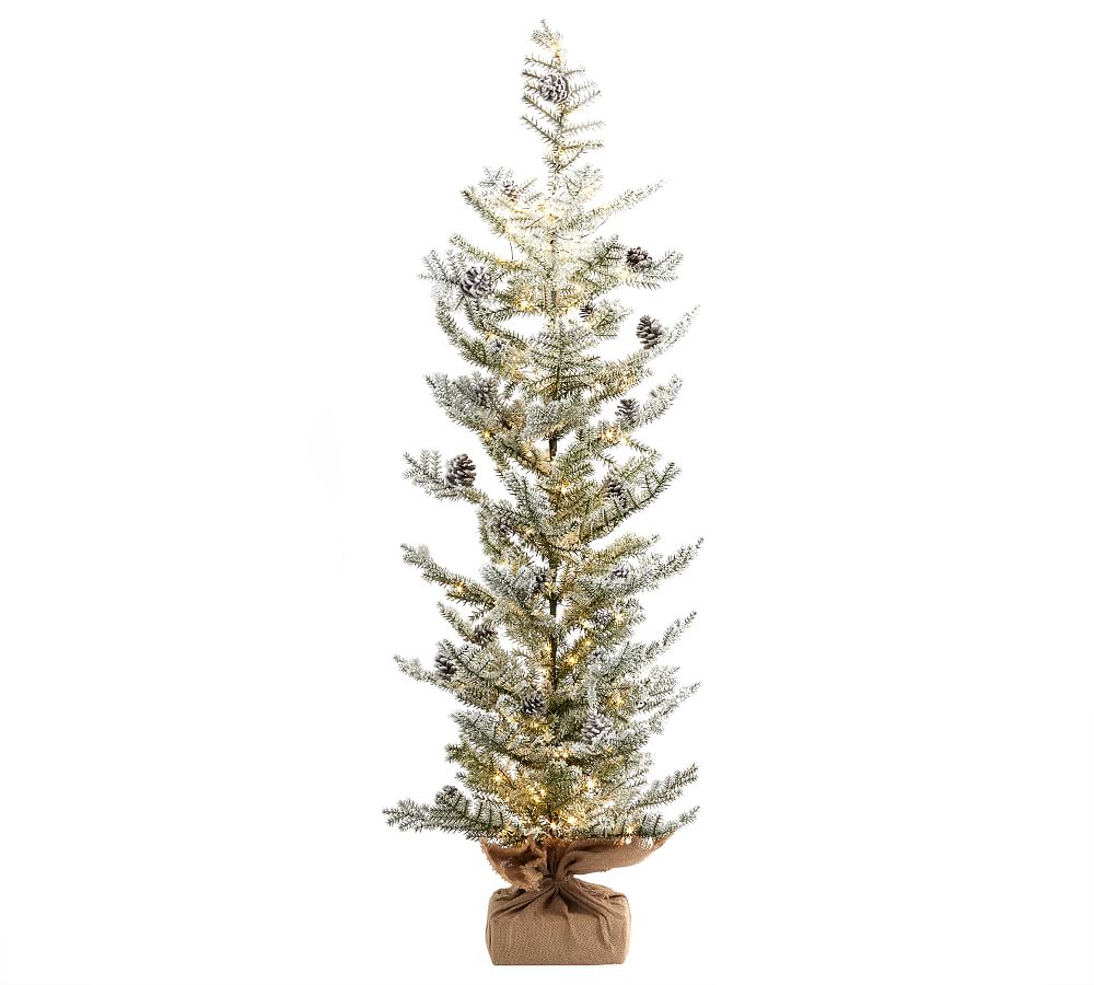 Pre-Lit Faux Snowy Pine Trees | Pottery Barn