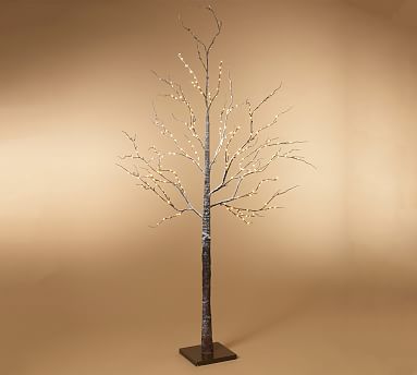Lighted Snowy Brown Birch Tree - 6ft | Pottery Barn
