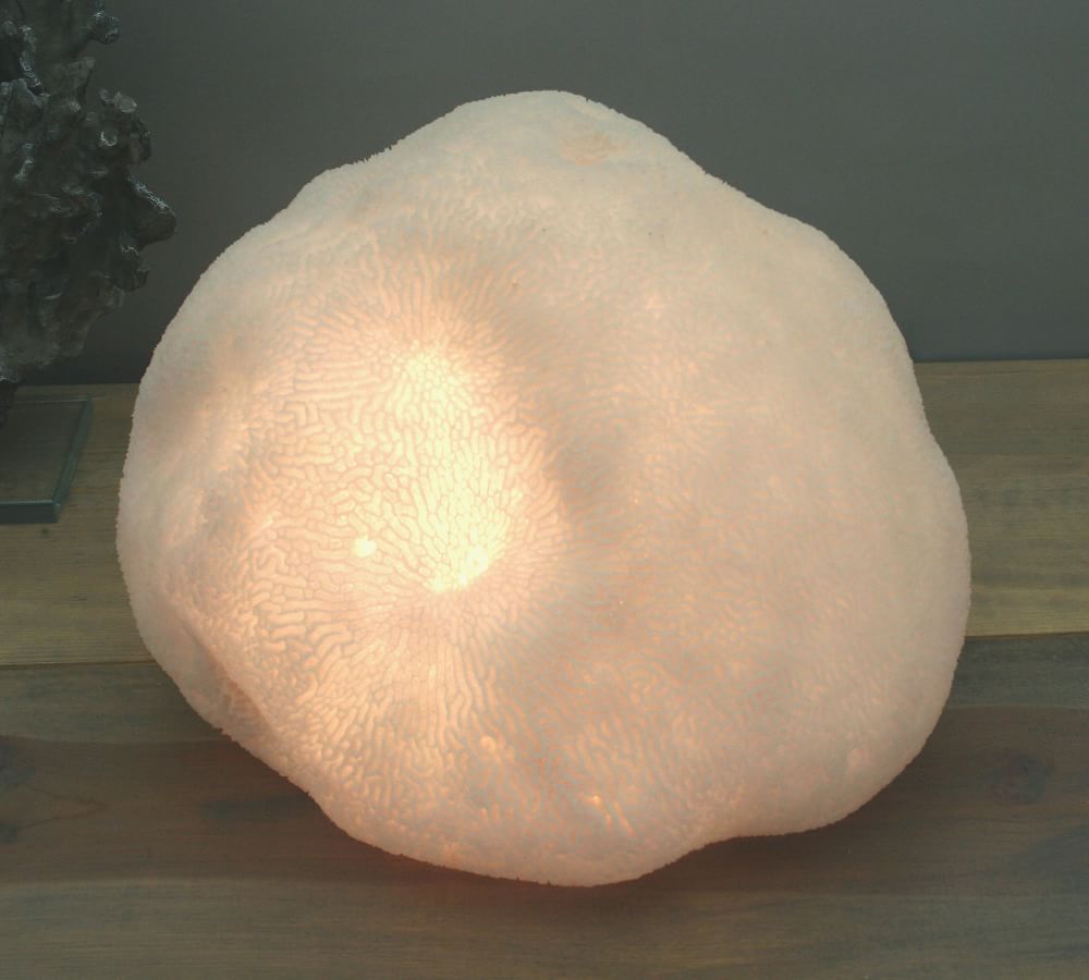 Decorative Light Up Frosted Glass Coral | Pottery Barn