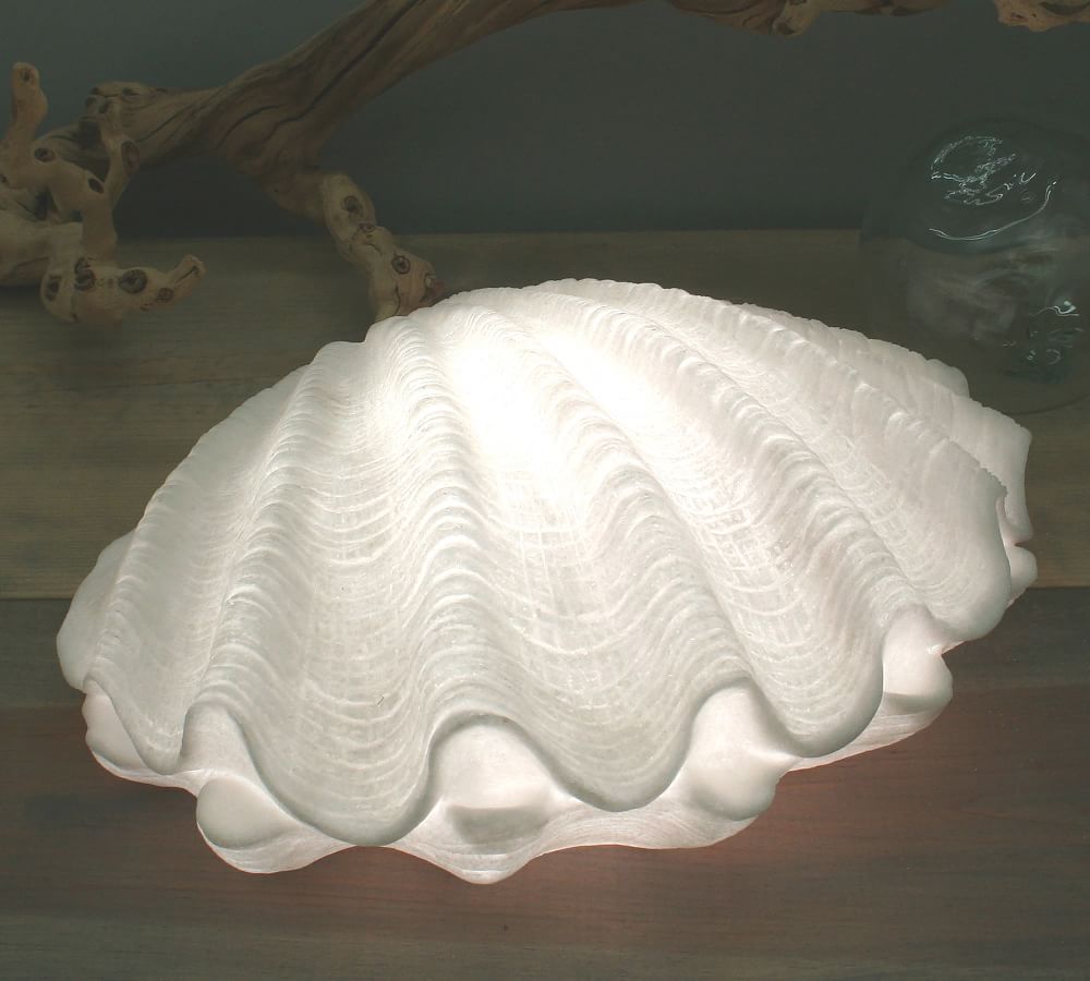 Decorative Light Up Frosted Glass Clam | Pottery Barn