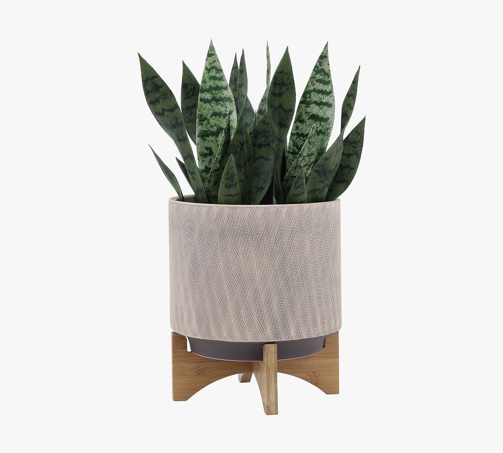 Footed Textured Planter | Pottery Barn
