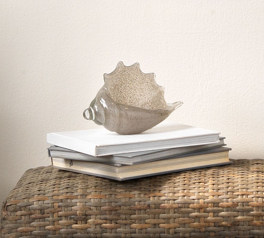 Hand Blown Glass Conch Shells | Pottery Barn