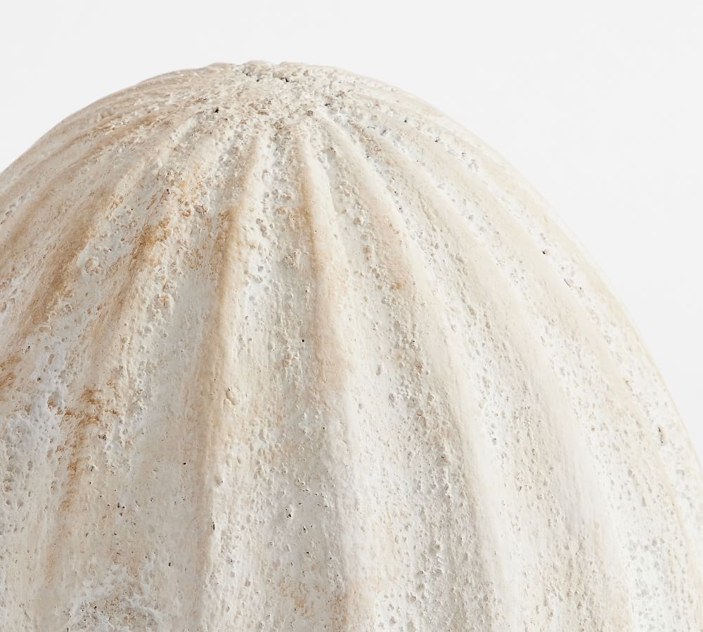 Weathered Rustic Eggs | Pottery Barn