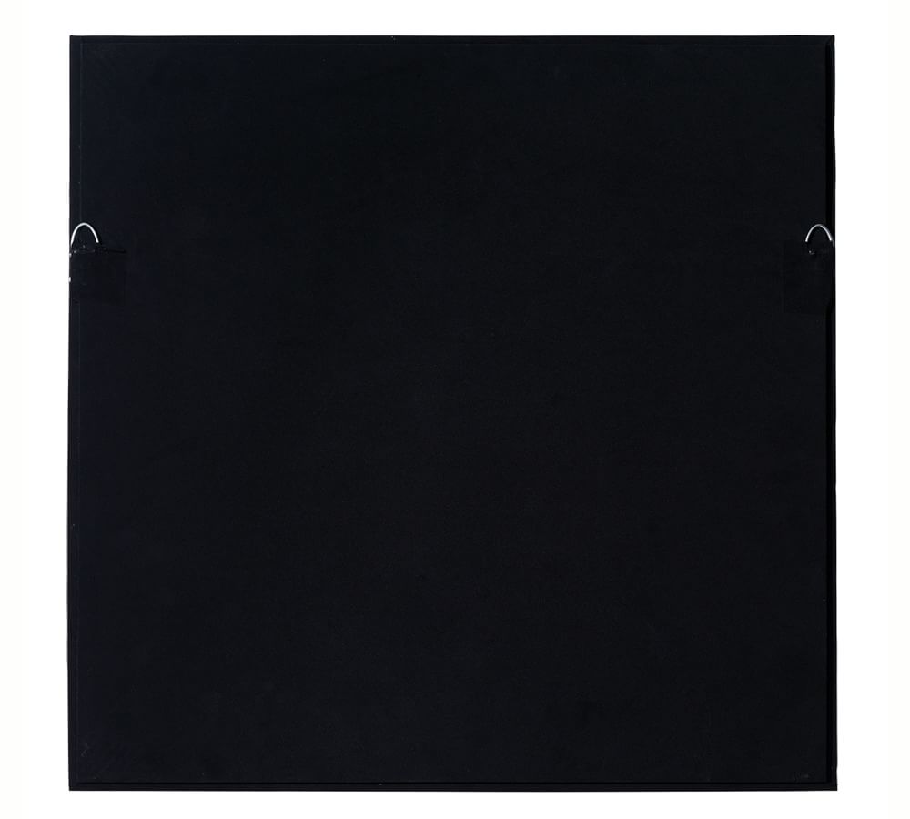 Tulip Shell Shadow Box Wall Art | Pottery Barn