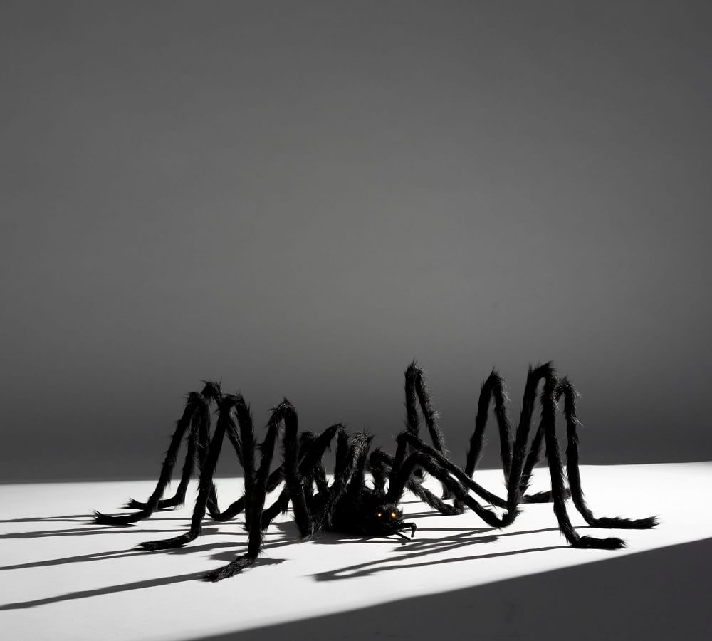 Light Up XL Outdoor Spider | Pottery Barn