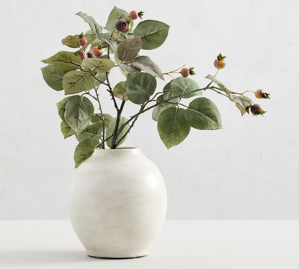 Quin Handcrafted Ceramic Vases | Pottery Barn