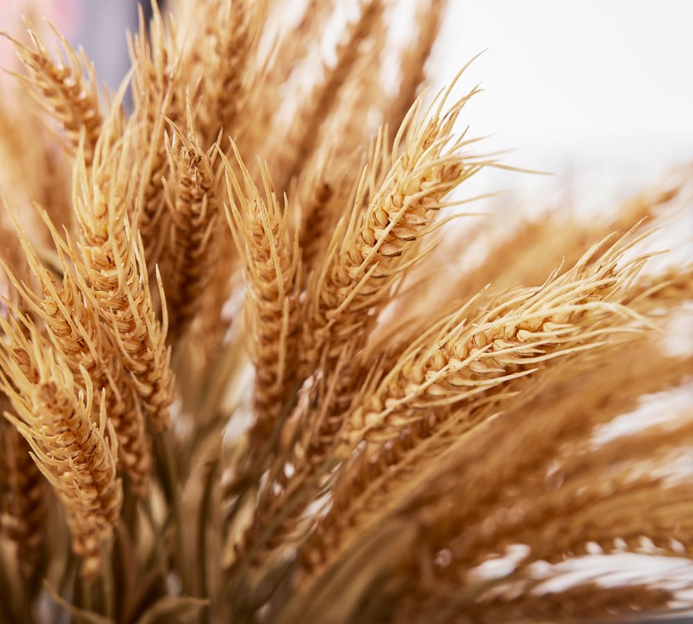 Faux Wheat Bundle | Pottery Barn