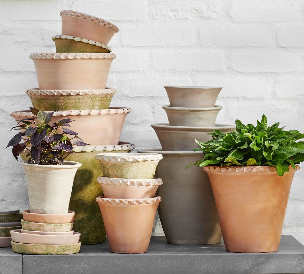 Provence Scalloped Edge Planter - Moss | Pottery Barn