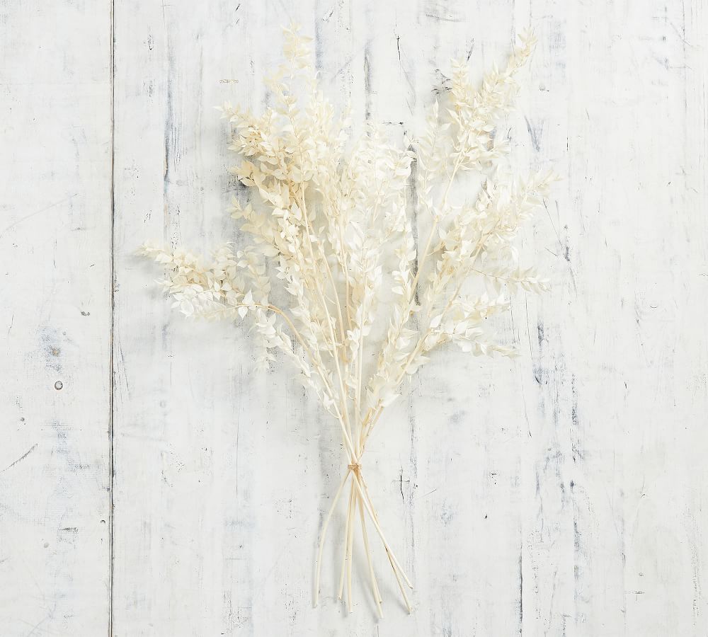 Dried Ruscus Bundle | Pottery Barn