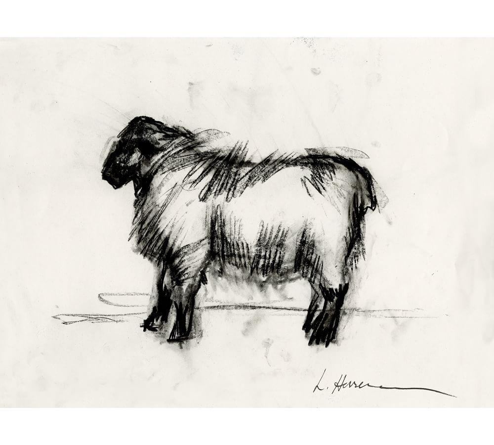 Sheep by The Artist's Studio | Pottery Barn