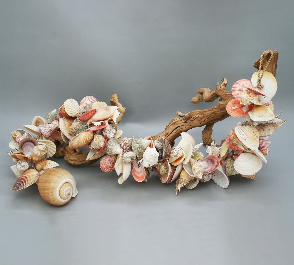Assorted Shell Garland | Pottery Barn