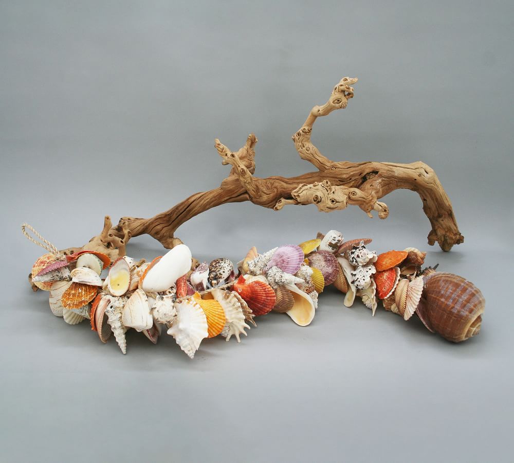 Assorted Shell Garland | Pottery Barn