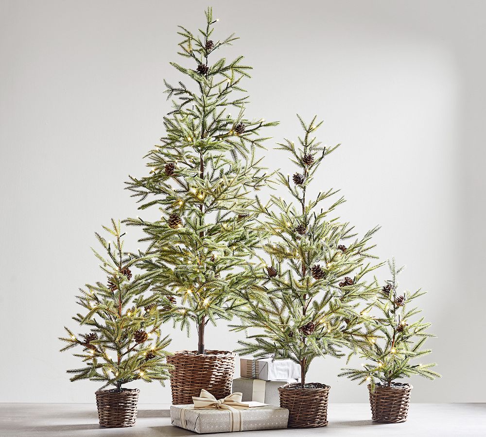 Pre-Lit Faux Pine Trees in Basket | Pottery Barn