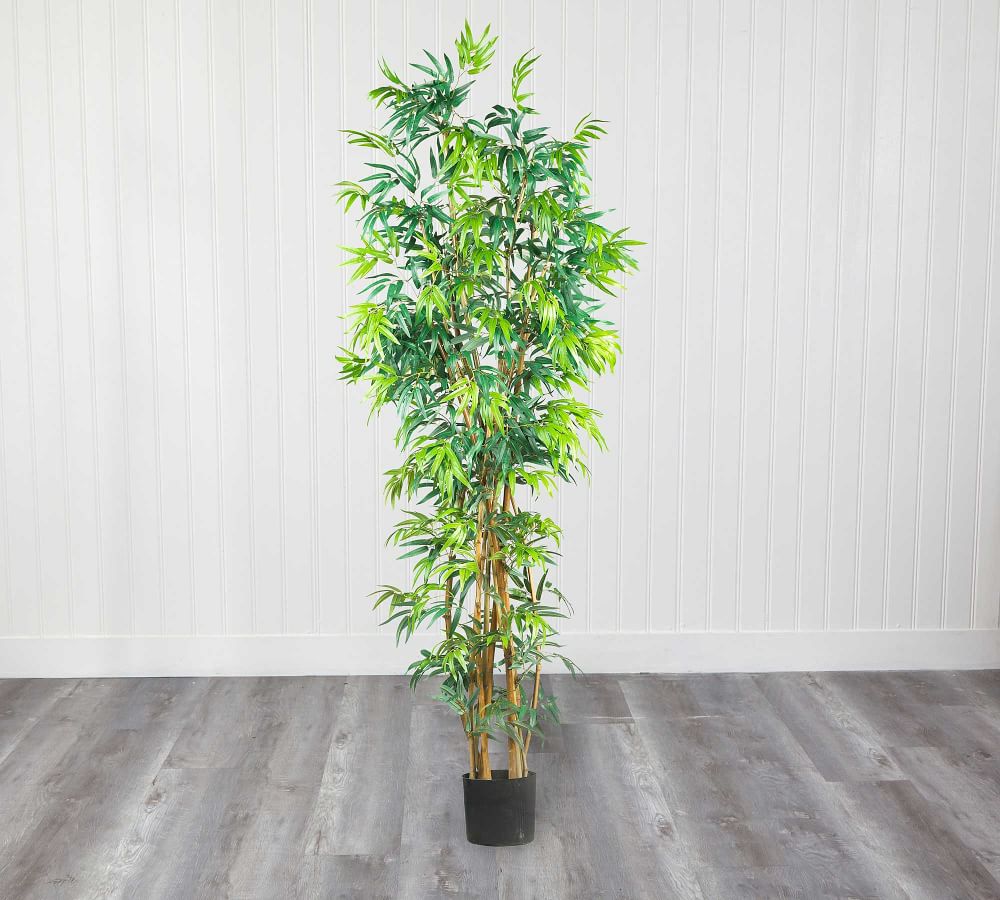 Faux Curved Bamboo Tree | Pottery Barn