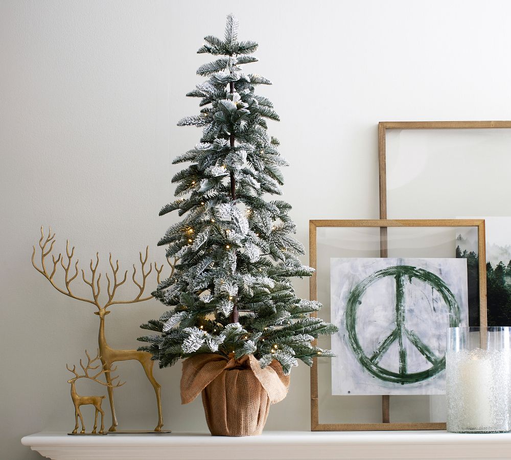 Pre-Lit Frosted Faux Pine Trees | Pottery Barn