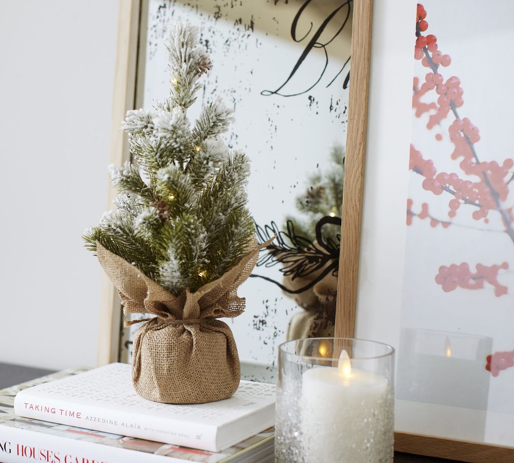 Pre-Lit Frosted Faux Pine Trees | Pottery Barn