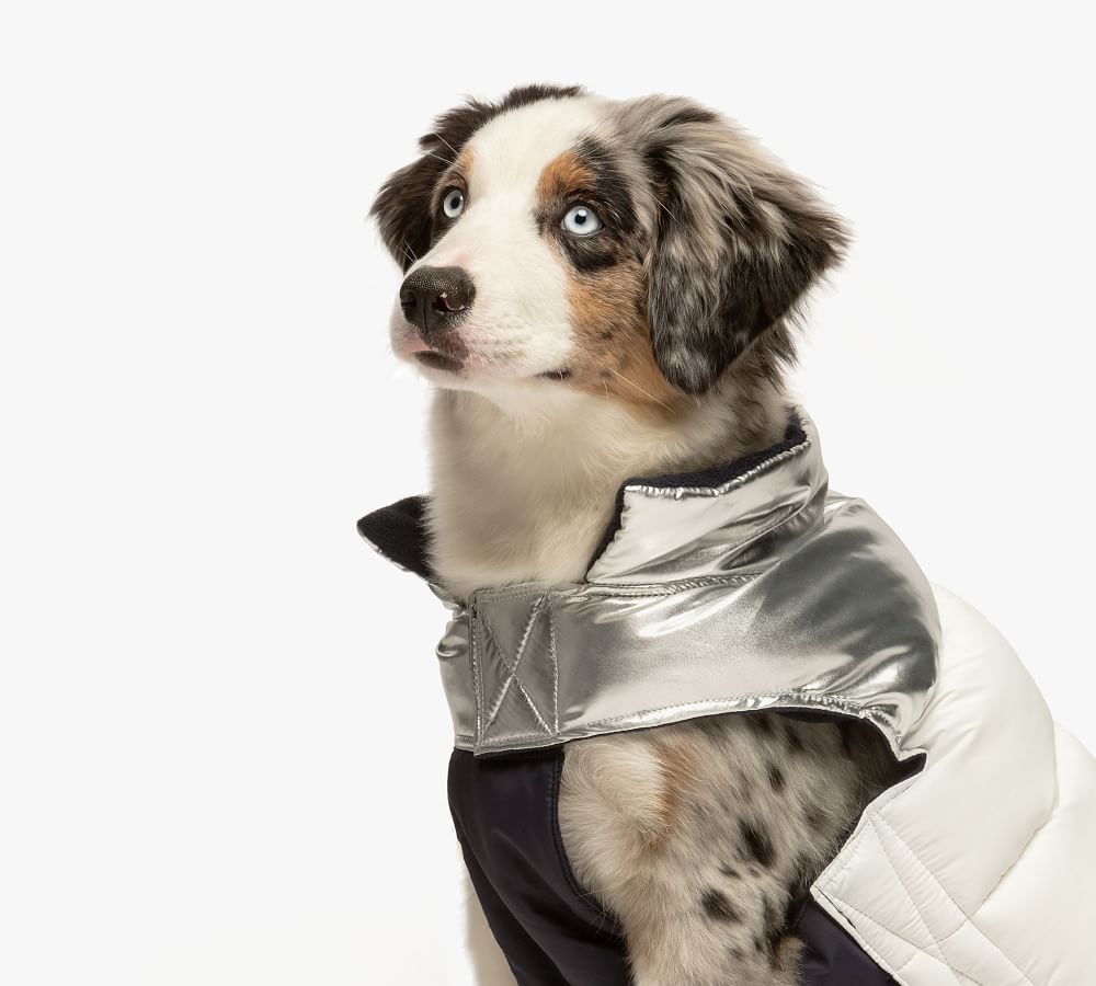 Color Block Pet Puffer | Pottery Barn