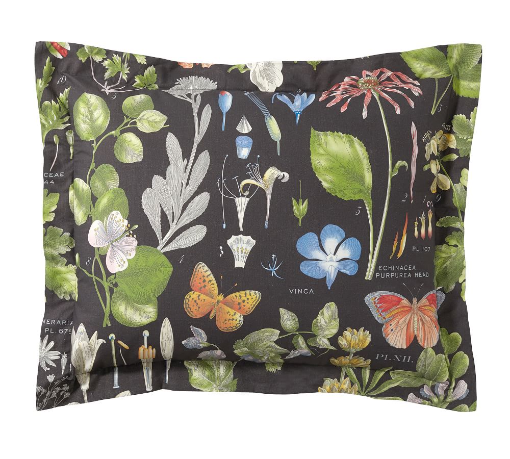 OPEN BOX: Poppy Organic Sham | Pottery Barn