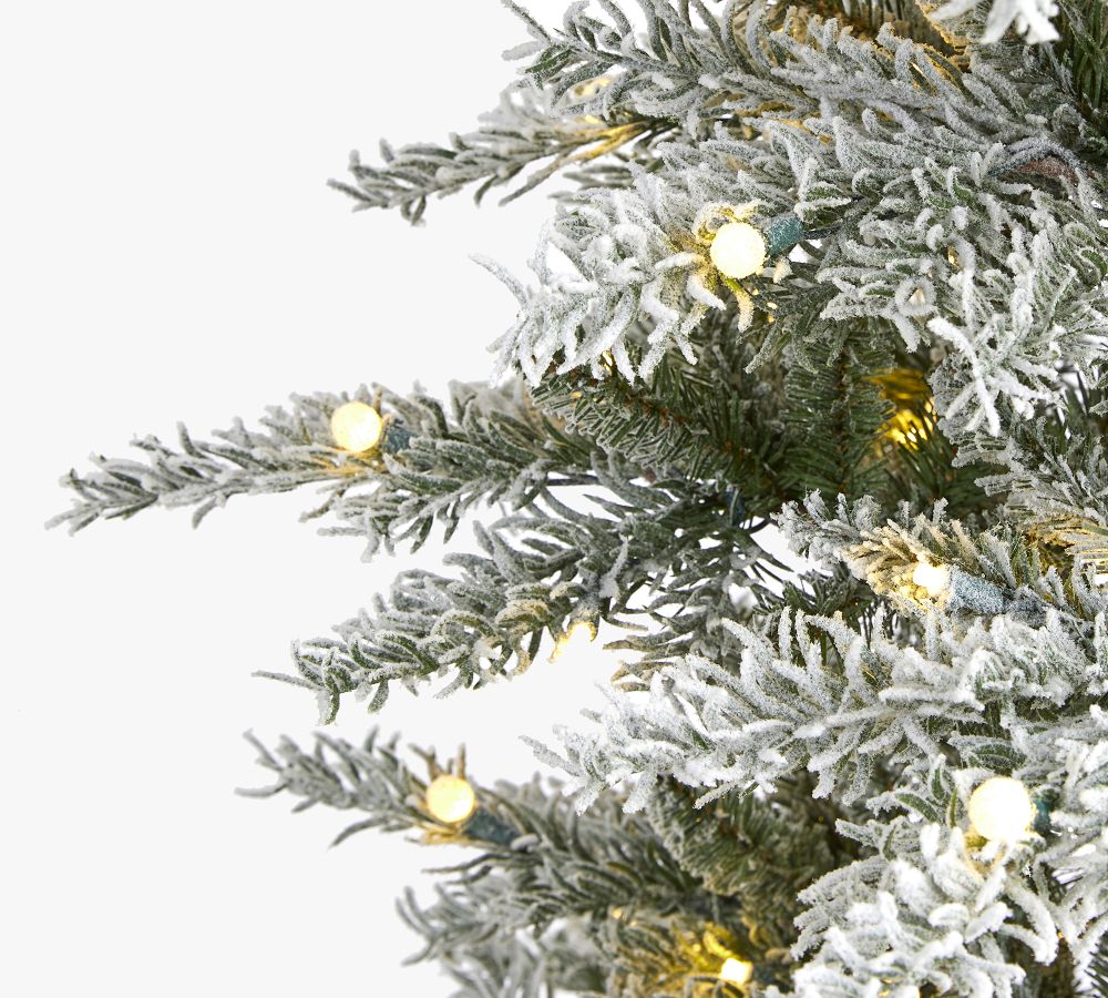 Pre-Lit Slim Flocked Nova Scotia Spruce Faux Christmas Tree | Pottery Barn