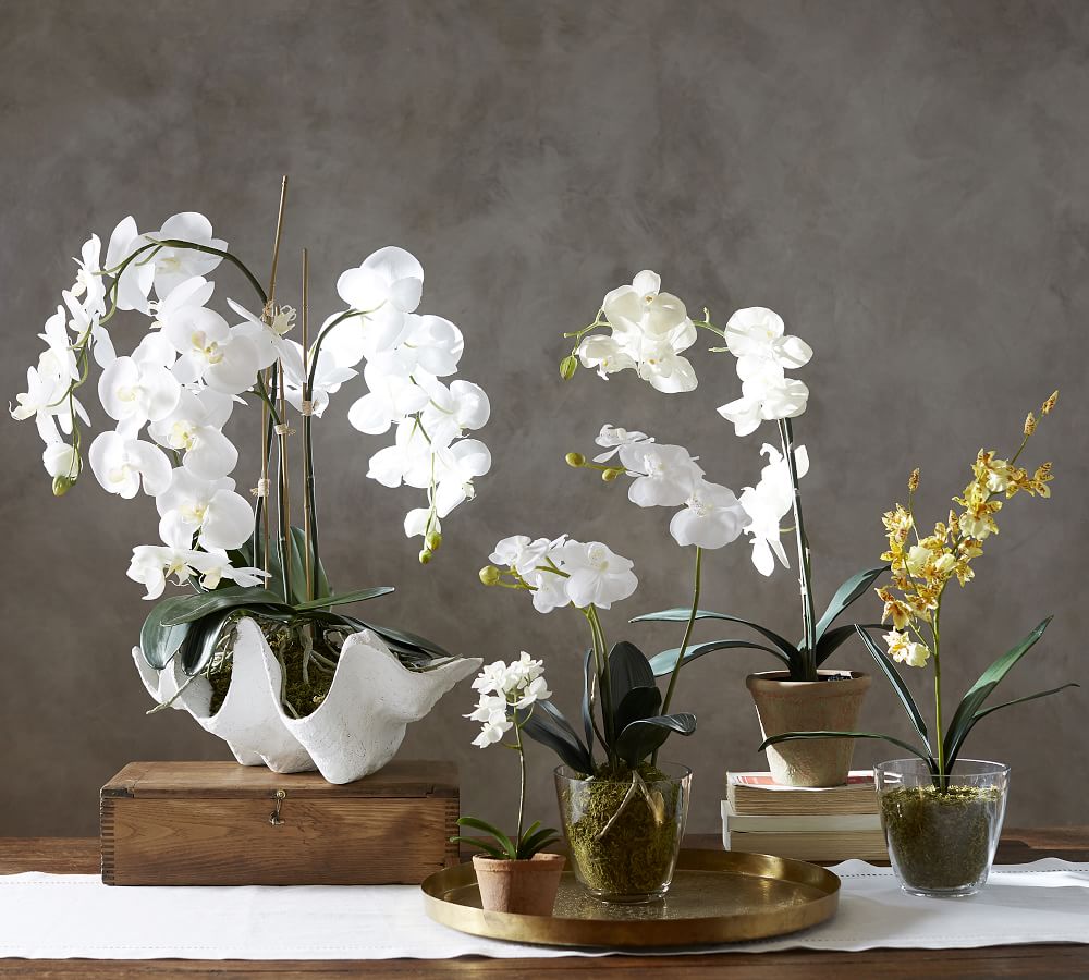 Mini Faux Potted Orchid | Artificial Flowers | Pottery Barn