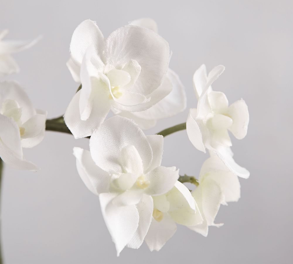 Mini Faux Potted Orchid | Artificial Flowers | Pottery Barn