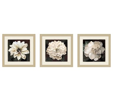 White Flower Prints | Pottery Barn