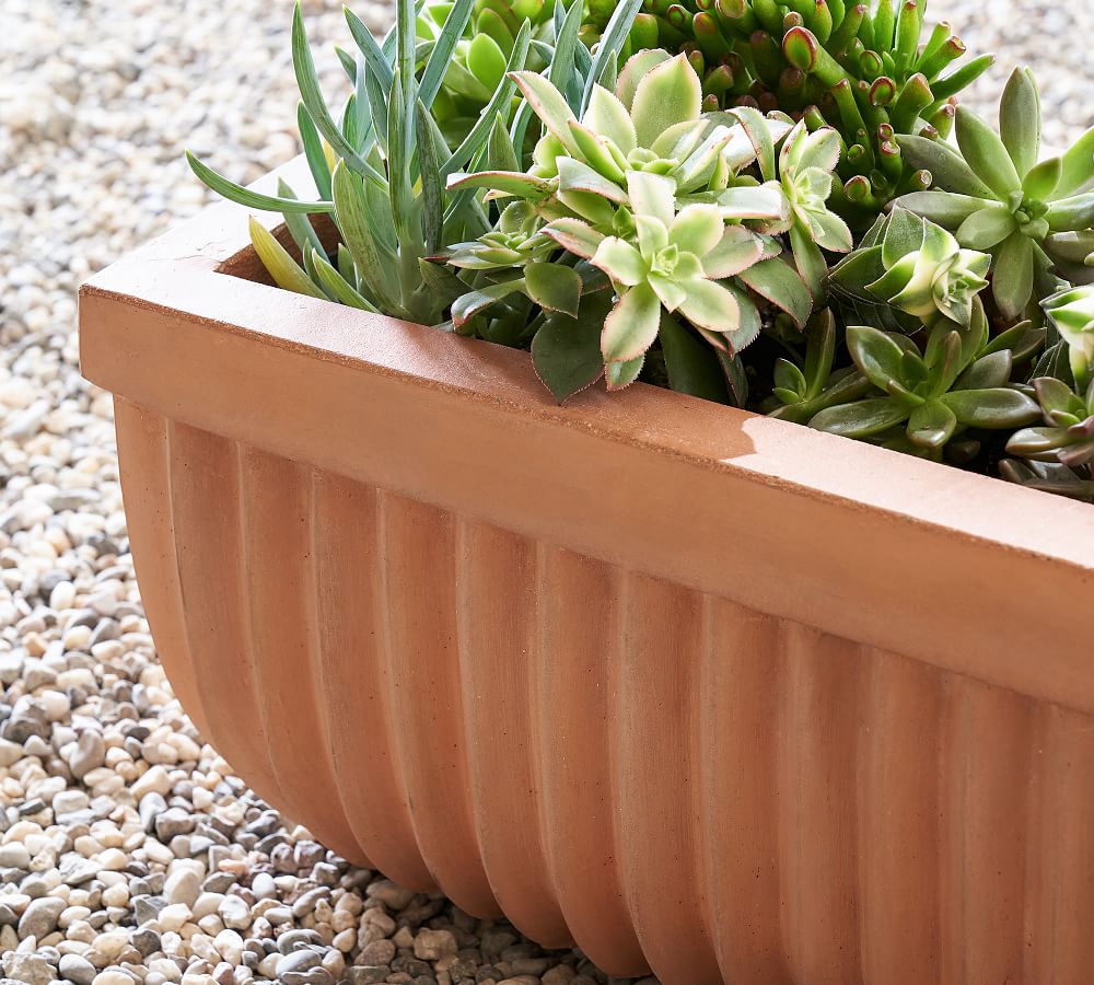 Concrete Fluted Planters | Pottery Barn