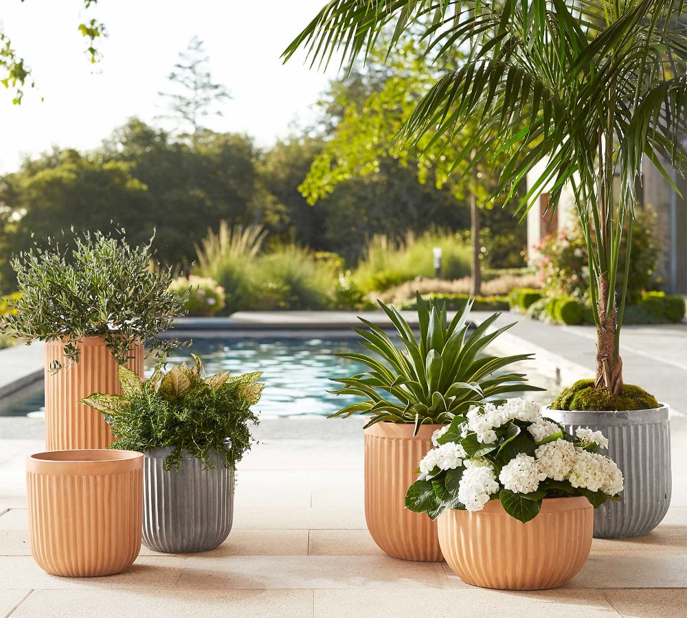 Concrete Fluted Planters | Pottery Barn