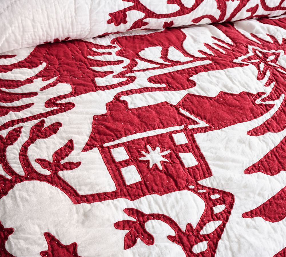 Clara Cotton Applique Quilt & Shams | Pottery Barn