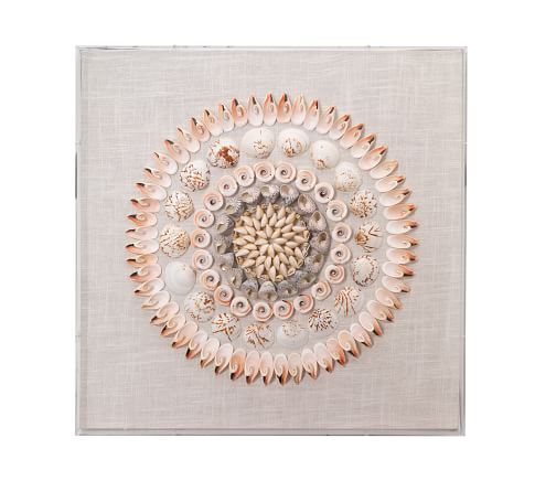 Oyster Shell Shadow Box Wall Art | Pottery Barn