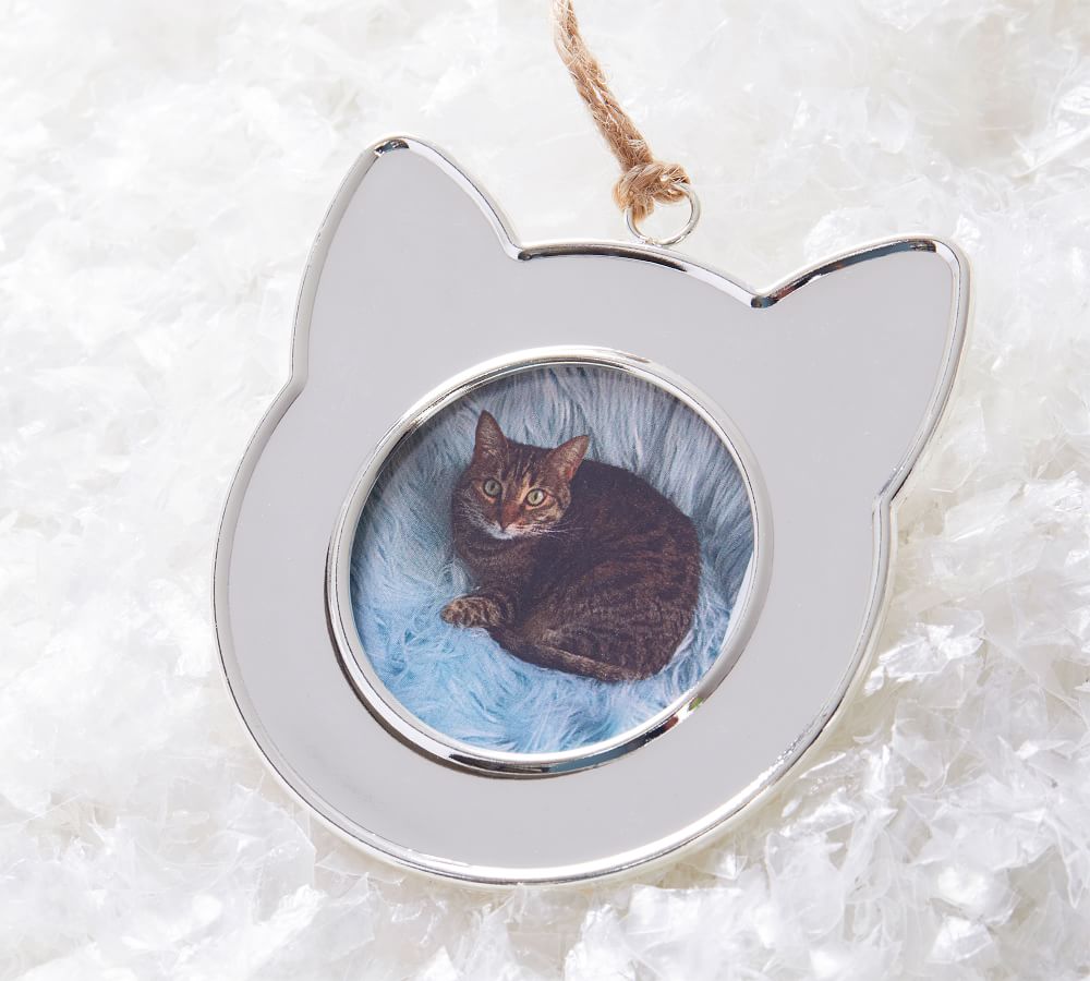 Silver Cat Frame Ornament | Pottery Barn