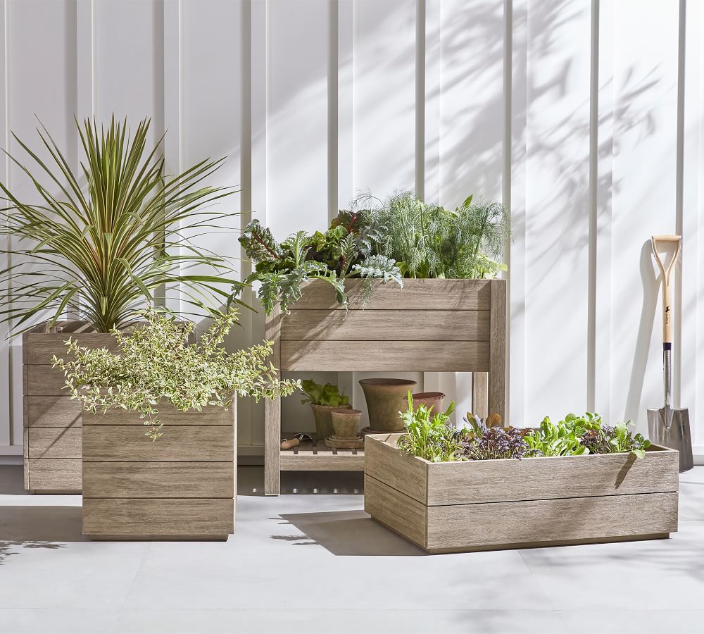 Indio Outdoor Planters - Eucalyptus | Pottery Barn