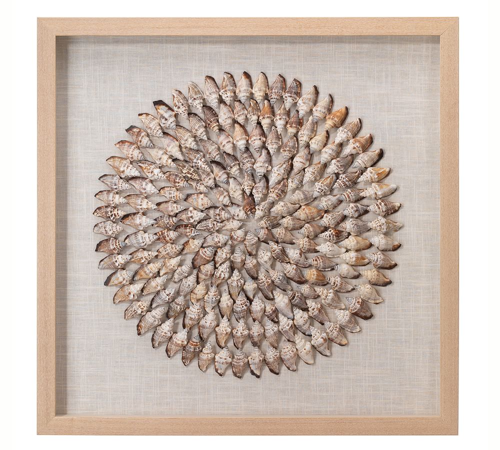 Tulip Shell Shadow Box Wall Art | Pottery Barn