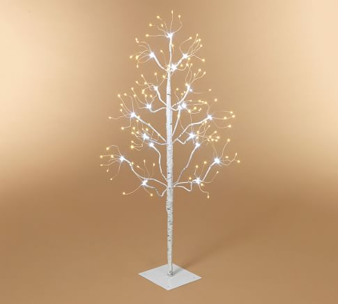 Lighted Snowy Brown Birch Tree - 6ft | Pottery Barn