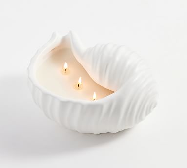 Ceramic Seashell Candle - Fig & Sandalwood | Pottery Barn