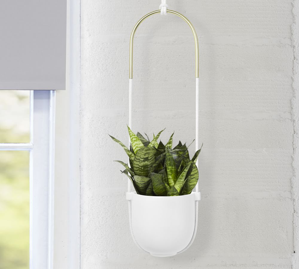 Hanging Wall Planter | Pottery Barn