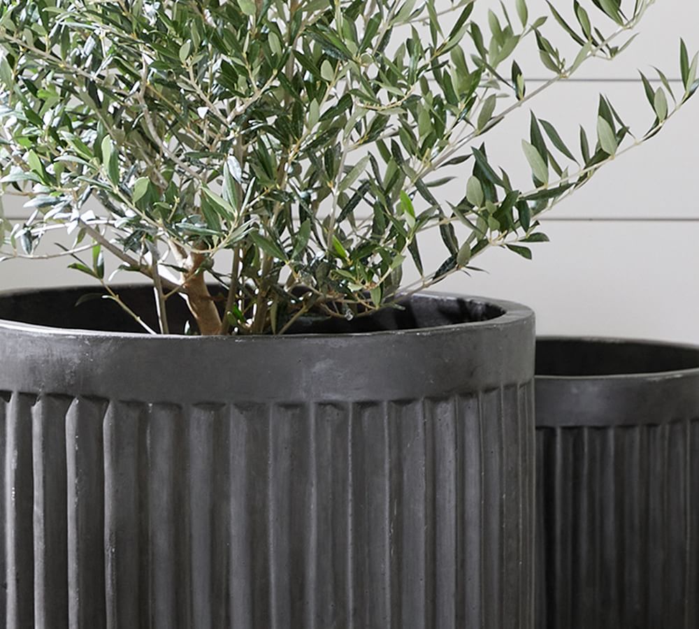 Concrete Fluted Planters | Pottery Barn