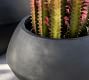 Porto Planters | Pottery Barn