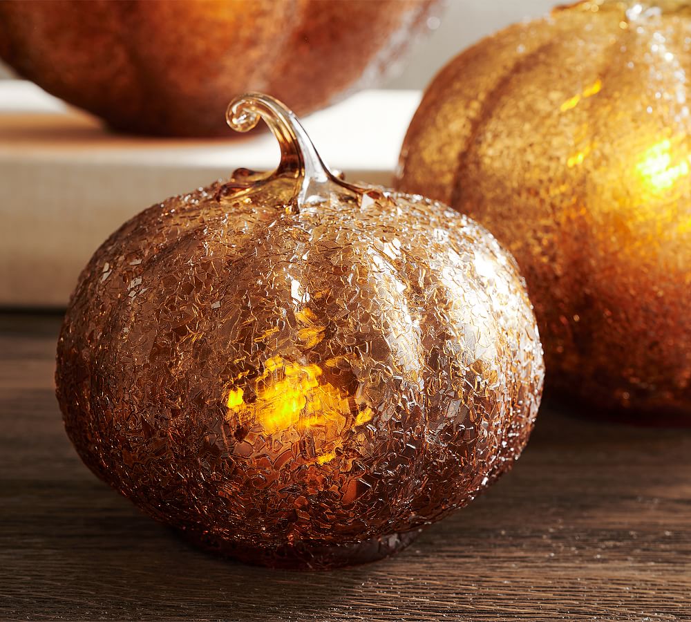 Textured Glass Amber Pumpkin Cloche | Pottery Barn