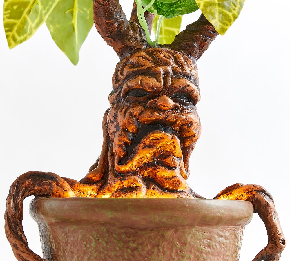 Harry Potter™ Lit Mandrake Root | Pottery Barn
