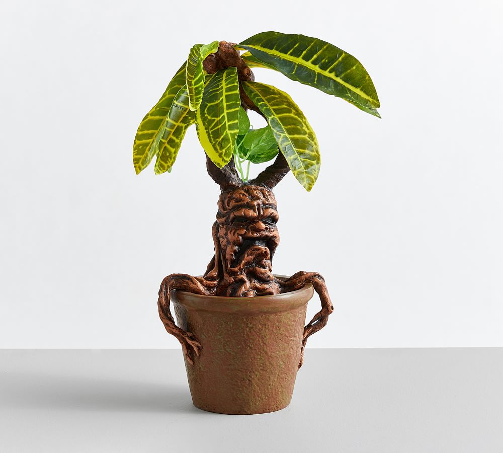 Harry Potter™ Lit Mandrake Root | Pottery Barn