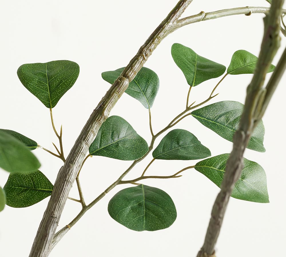 Faux Shady Lady Olive Tree | Pottery Barn