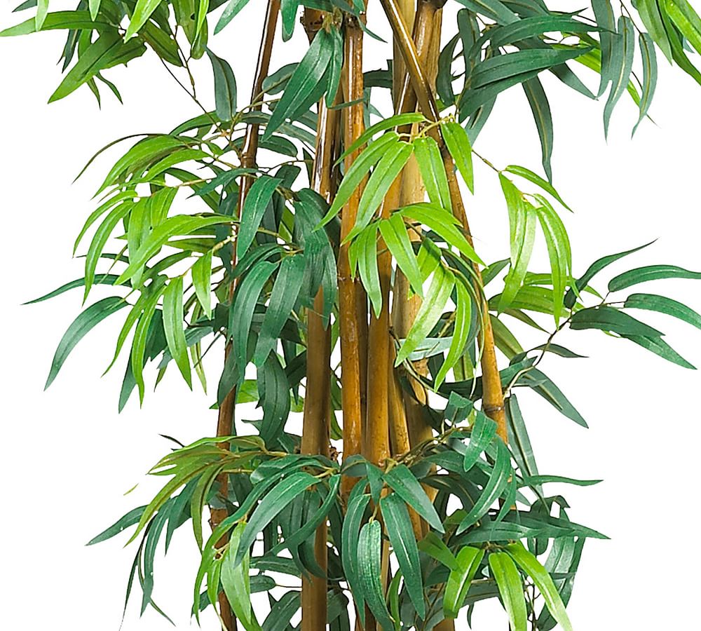 Faux Curved Bamboo Trees | Pottery Barn