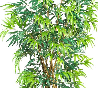 Faux Curved Bamboo Trees | Pottery Barn